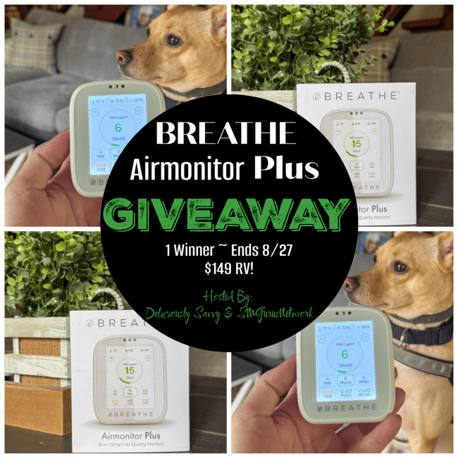BREATHE Airmonitor Plus Giveaway – SweepsMadness